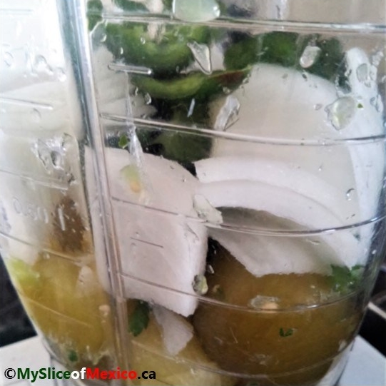 blender salsa verde logo – My Slice of Mexico