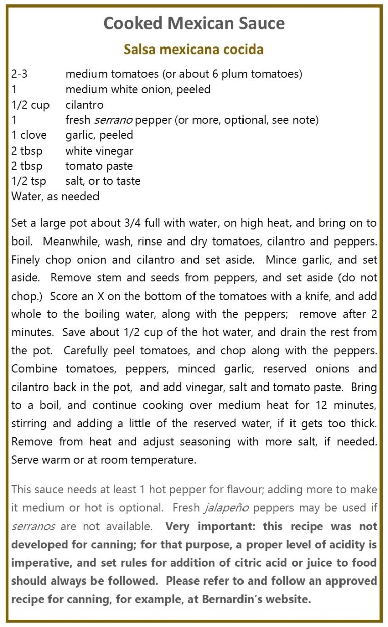 The Fantastic Four – Building the Salsa Repertoire – My Slice of Mexico