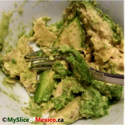 Guacamole – A Tasty Palette – My Slice of Mexico