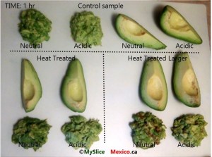 Prepping Avocados Ahead of Time – My Slice of Mexico