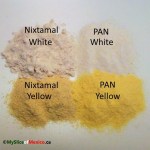 Corn Flour and Masa 101 – My Slice of Mexico