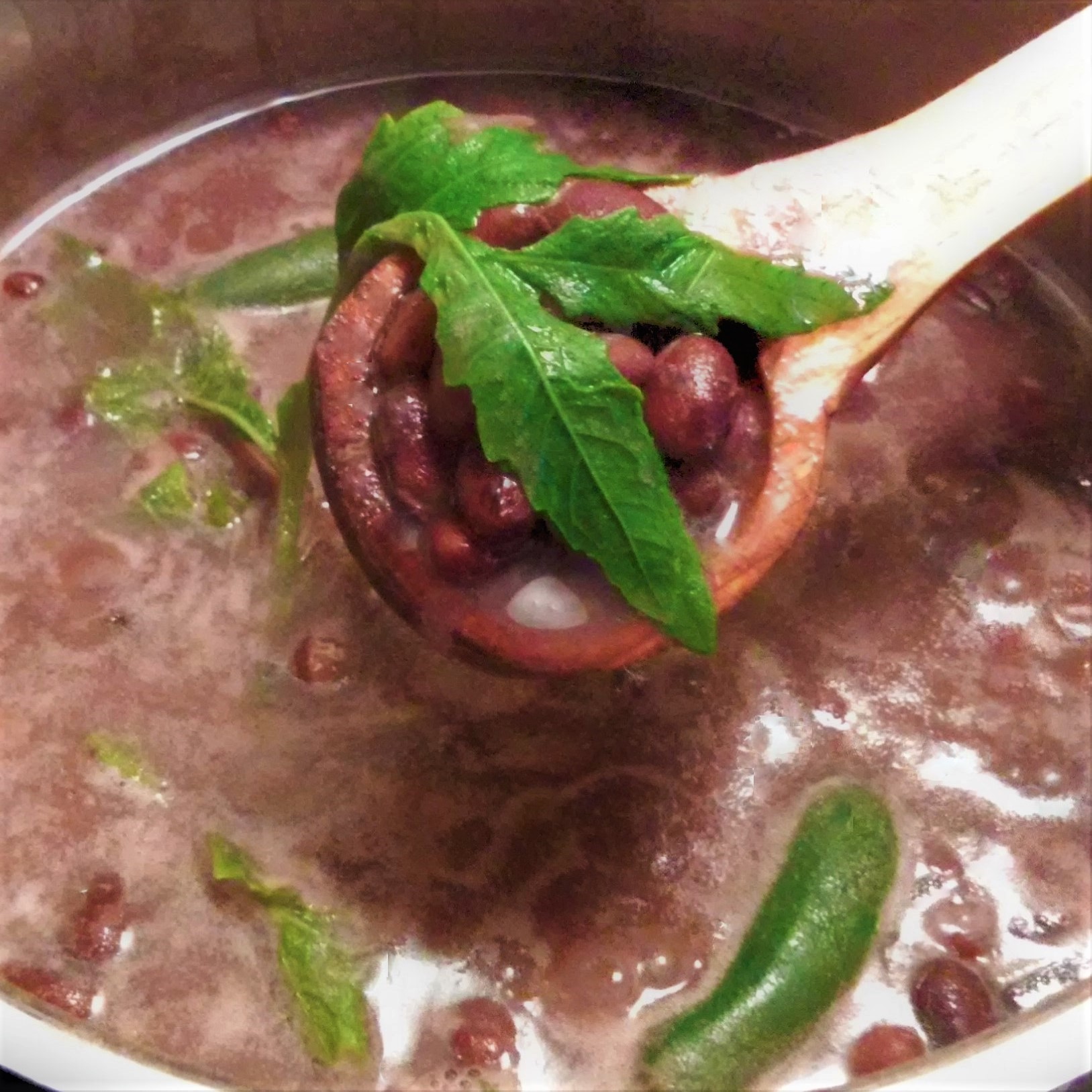 Spilling the Beans about Beans – My Slice of Mexico