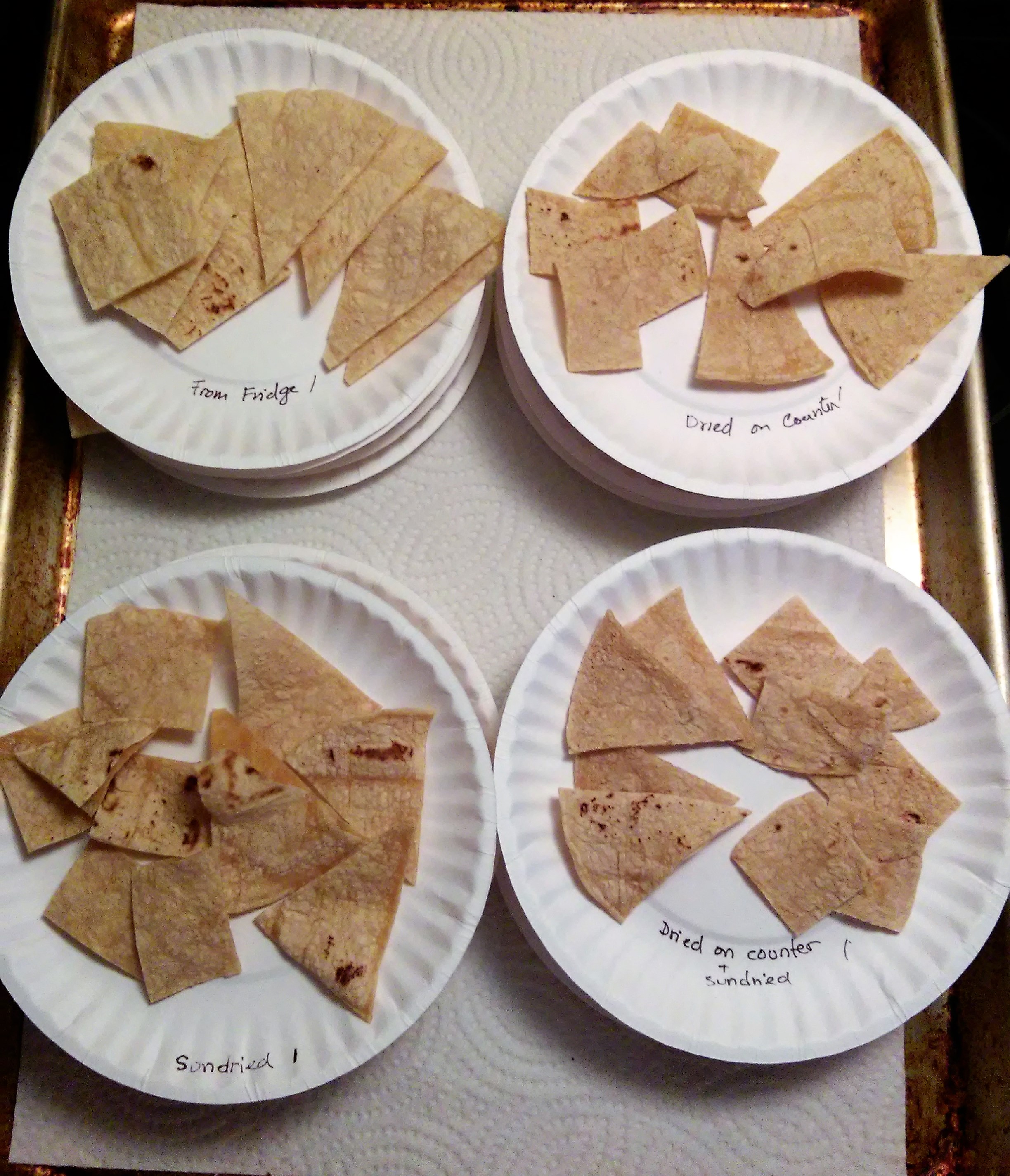 This is How the Tortilla Chip Crumbles – My Slice of Mexico