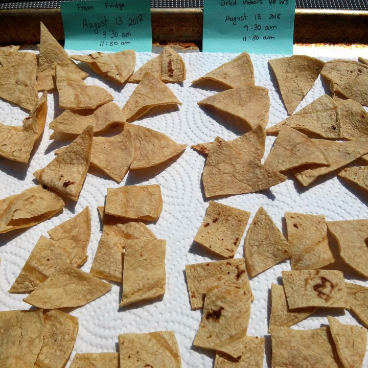 This is How the Tortilla Chip Crumbles – My Slice of Mexico