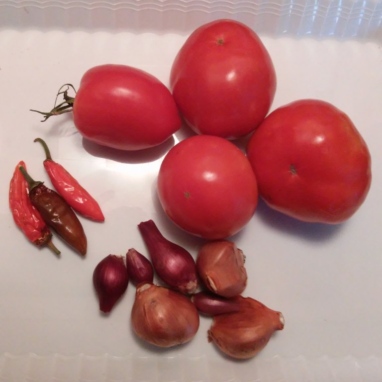 Sinaloa Style Chicken – Not Too Crazy – My Slice of Mexico