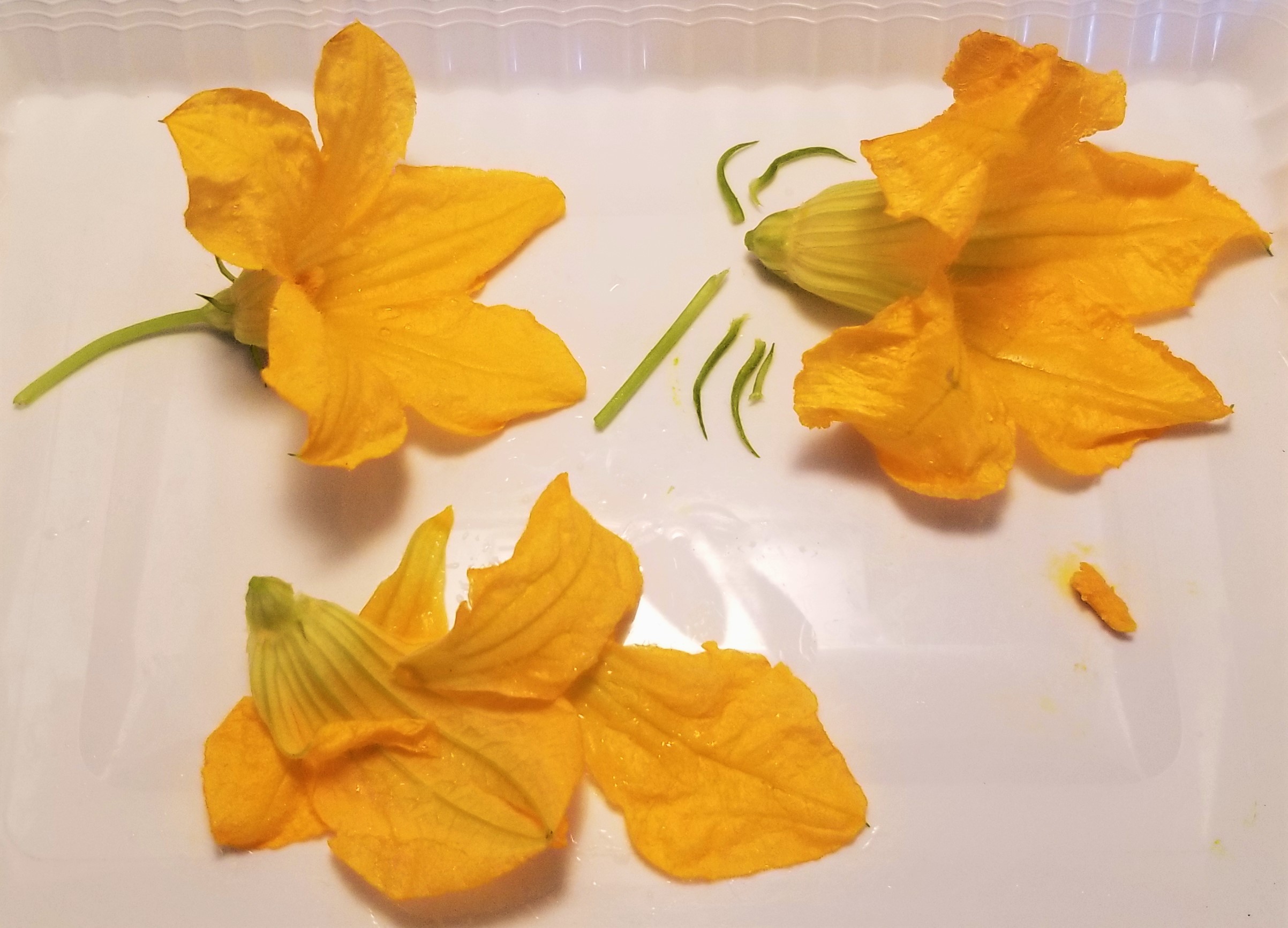 Squash Flower Taco – My Slice of Mexico