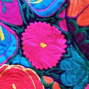 Rosa Mexicano – Mexican Pink – My Slice of Mexico