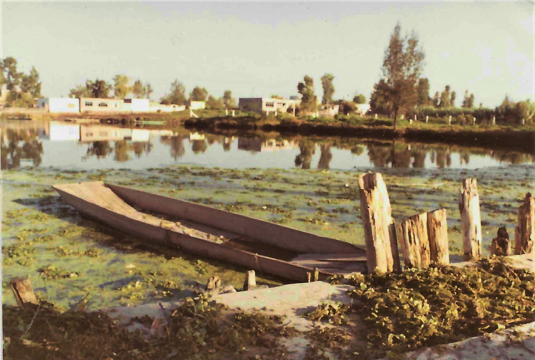 Chalupas – Small Boats with Great History – My Slice of Mexico