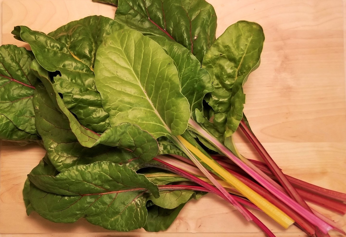 Swiss Chard – A Misunderstood Garden Favourite – My Slice of Mexico