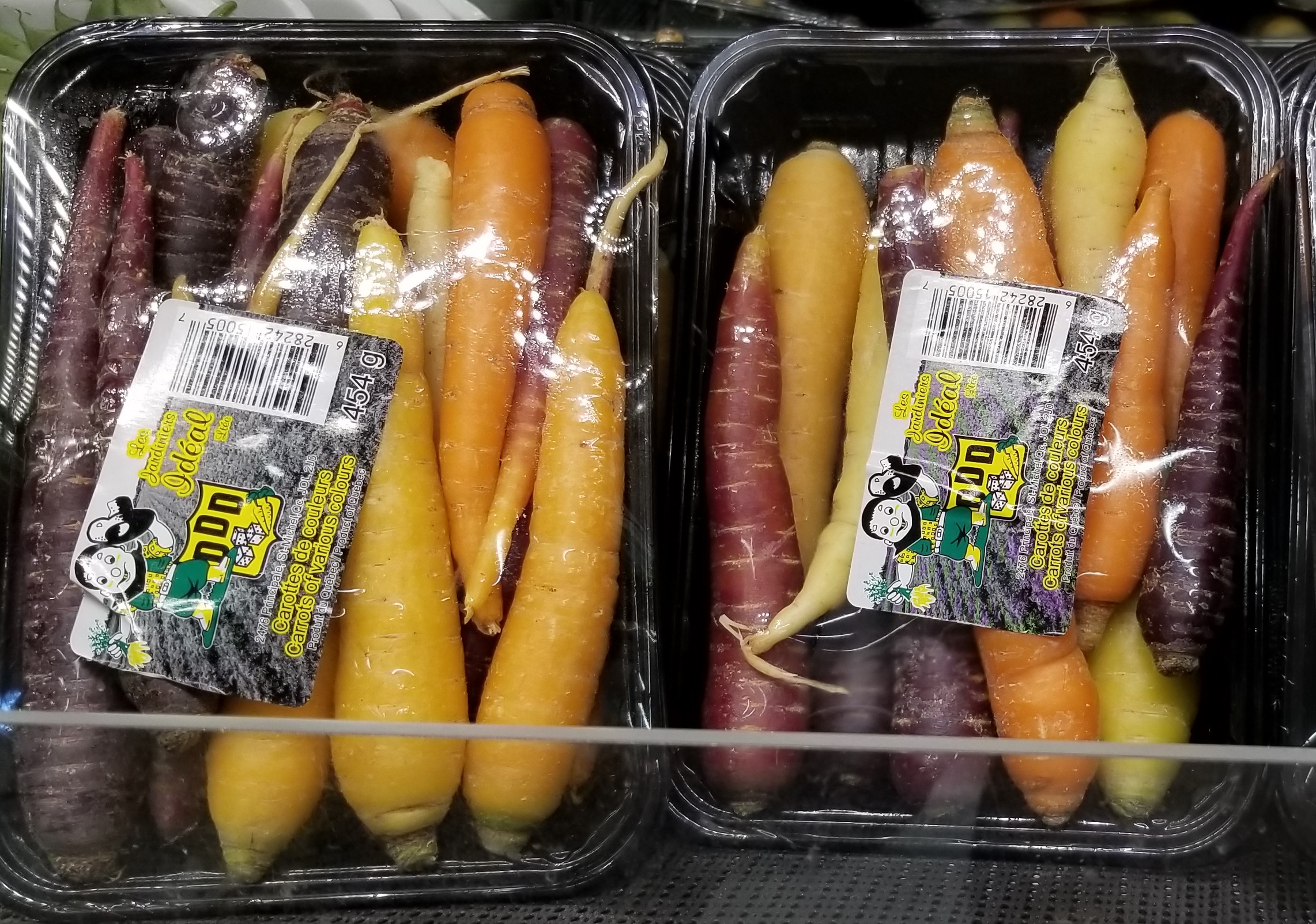 FOTD – Harvest Update: Carrots – My Slice of Mexico