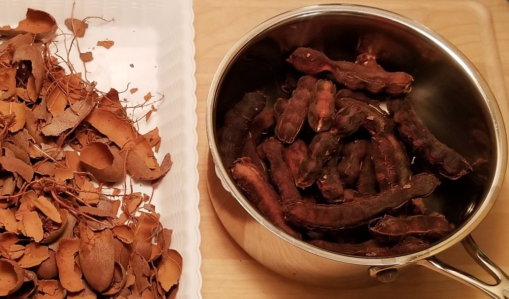 Traditional Sweets – Sweet or Spicy Tamarind Treats – My Slice of Mexico