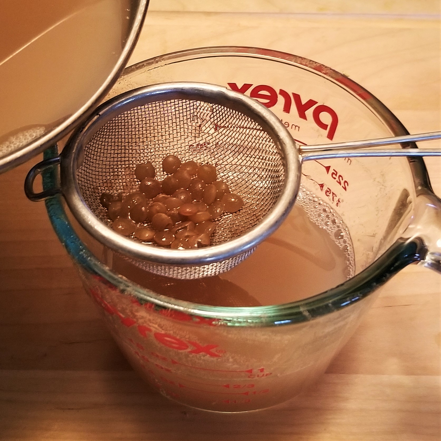 Cream of Lentil (Vegan) – My Slice of Mexico