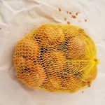 Multipliers – A Special Kind of Onion – My Slice of Mexico