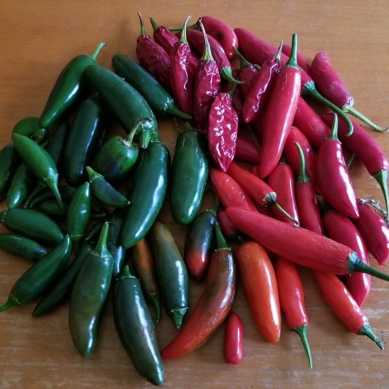 Salsa Macha – One Sauce for Every Taste – My Slice of Mexico