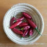 Salsa Macha – One Sauce for Every Taste – My Slice of Mexico