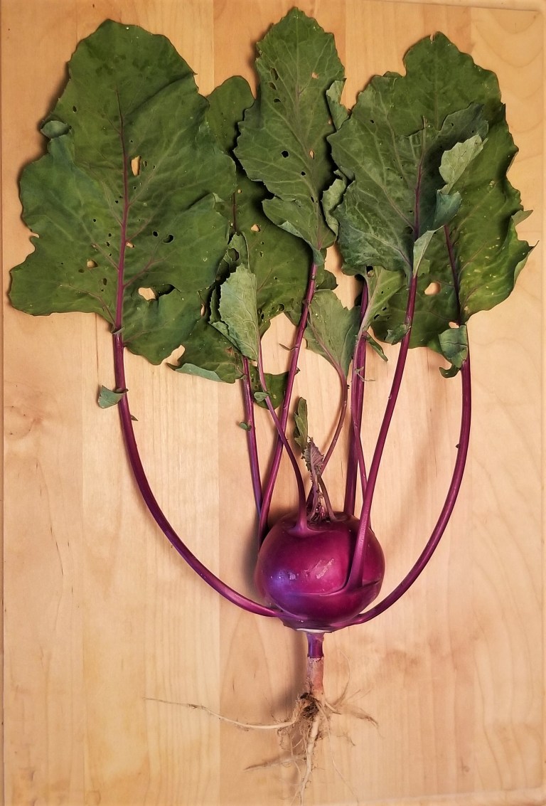 Veggie Cups with Kohlrabi – My Slice of Mexico