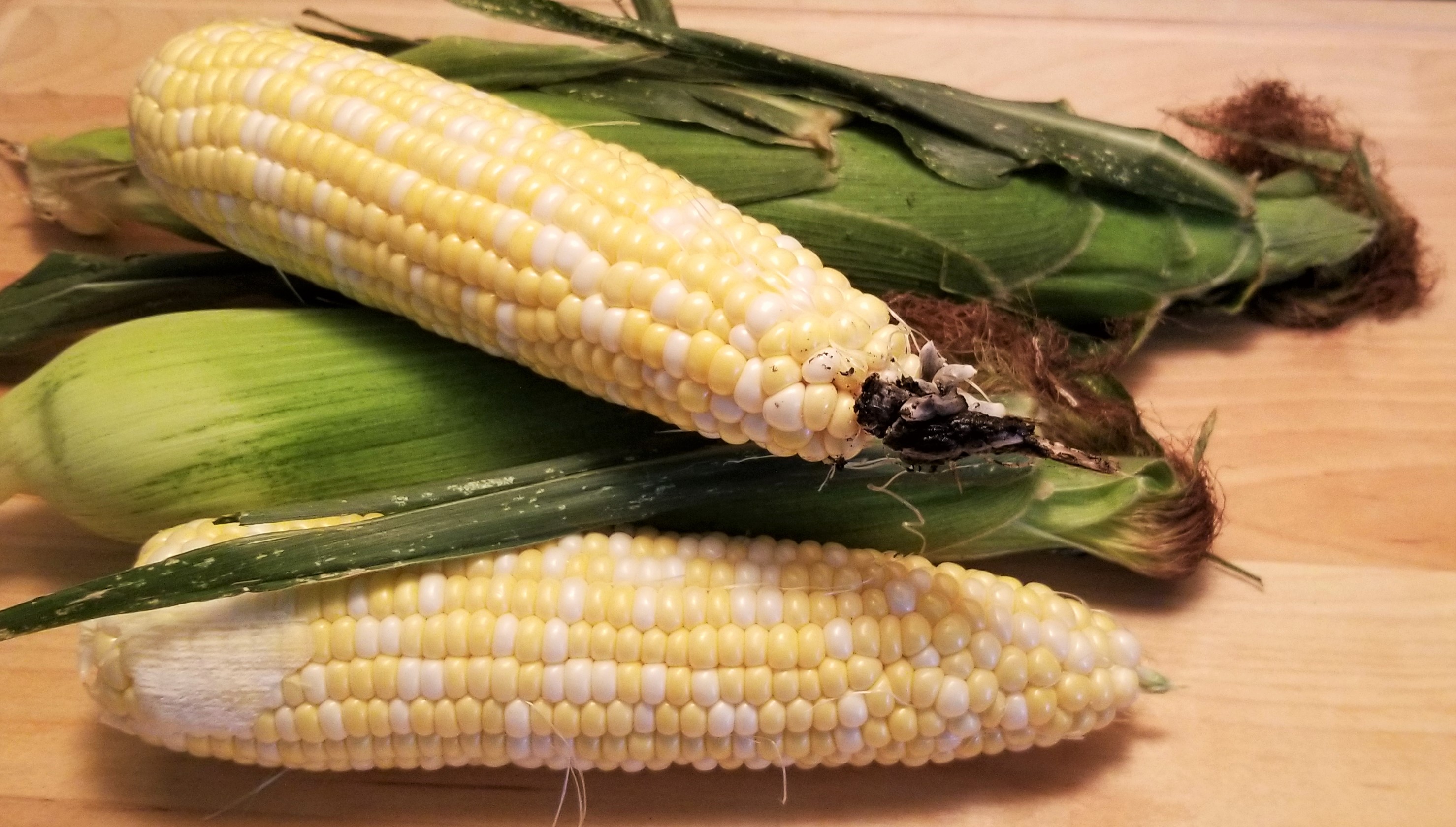 Huitlacoche – The Mexican Truffle – My Slice of Mexico