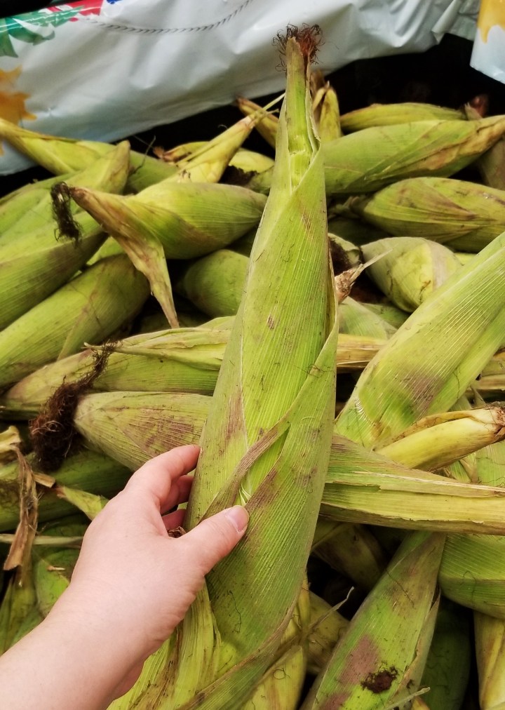 Huitlacoche – The Mexican Truffle – My Slice of Mexico