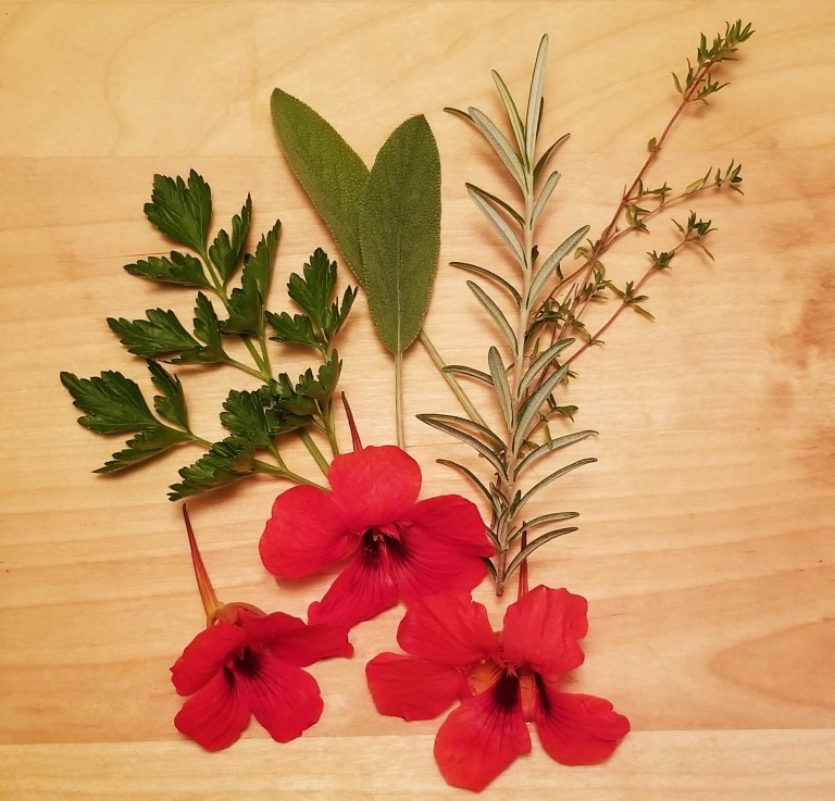 A Virtual Afternoon Tea – More Fresh Herbs – My Slice of Mexico