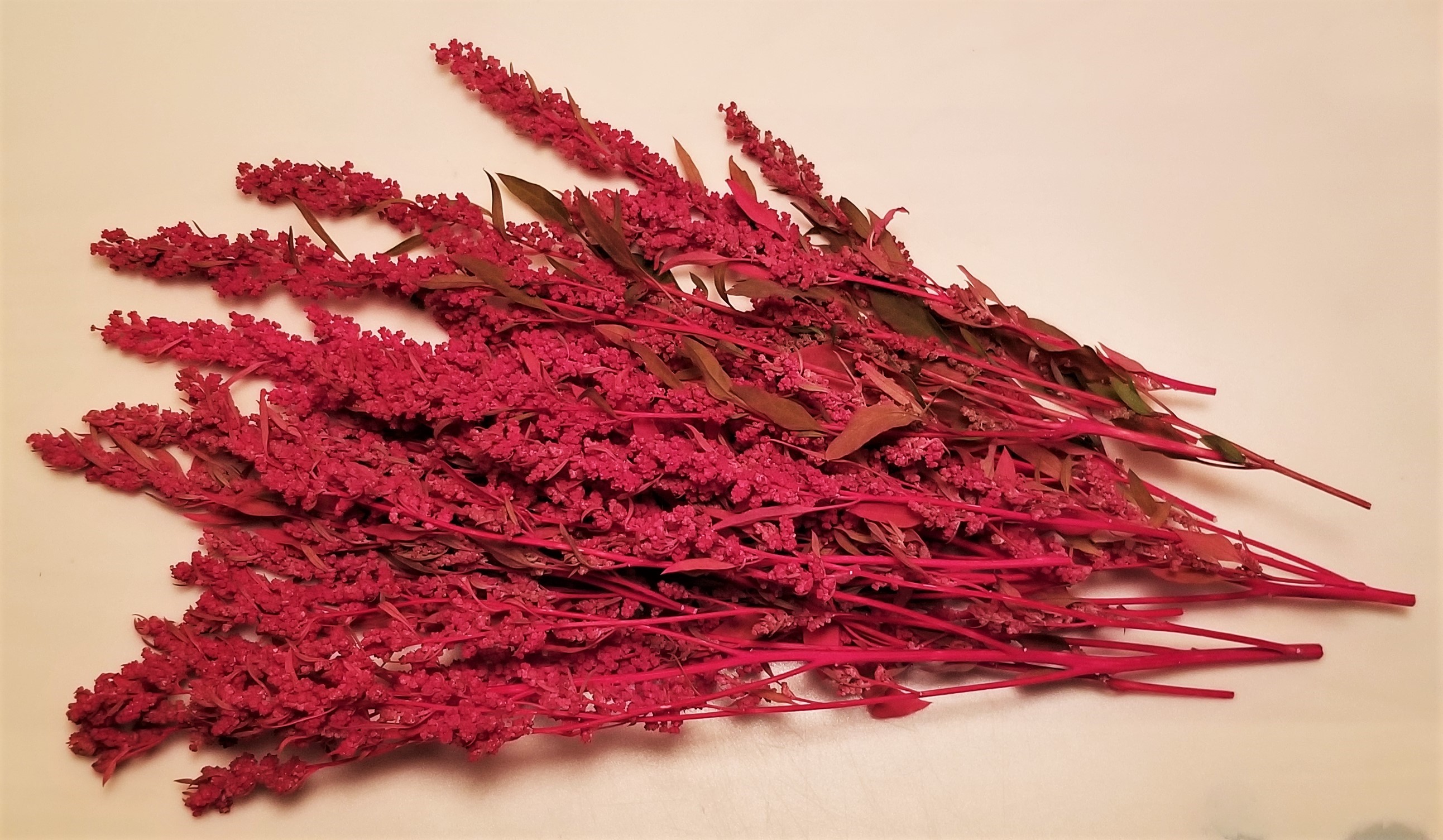 Fall Harvest and Cooking – Huauzontle – My Slice of Mexico