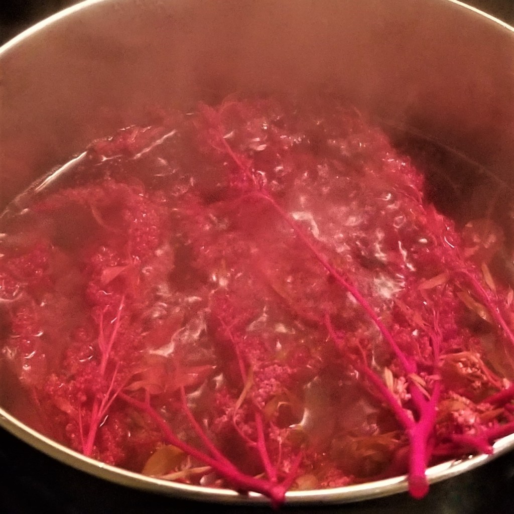 Fall Harvest and Cooking – Huauzontle – My Slice of Mexico