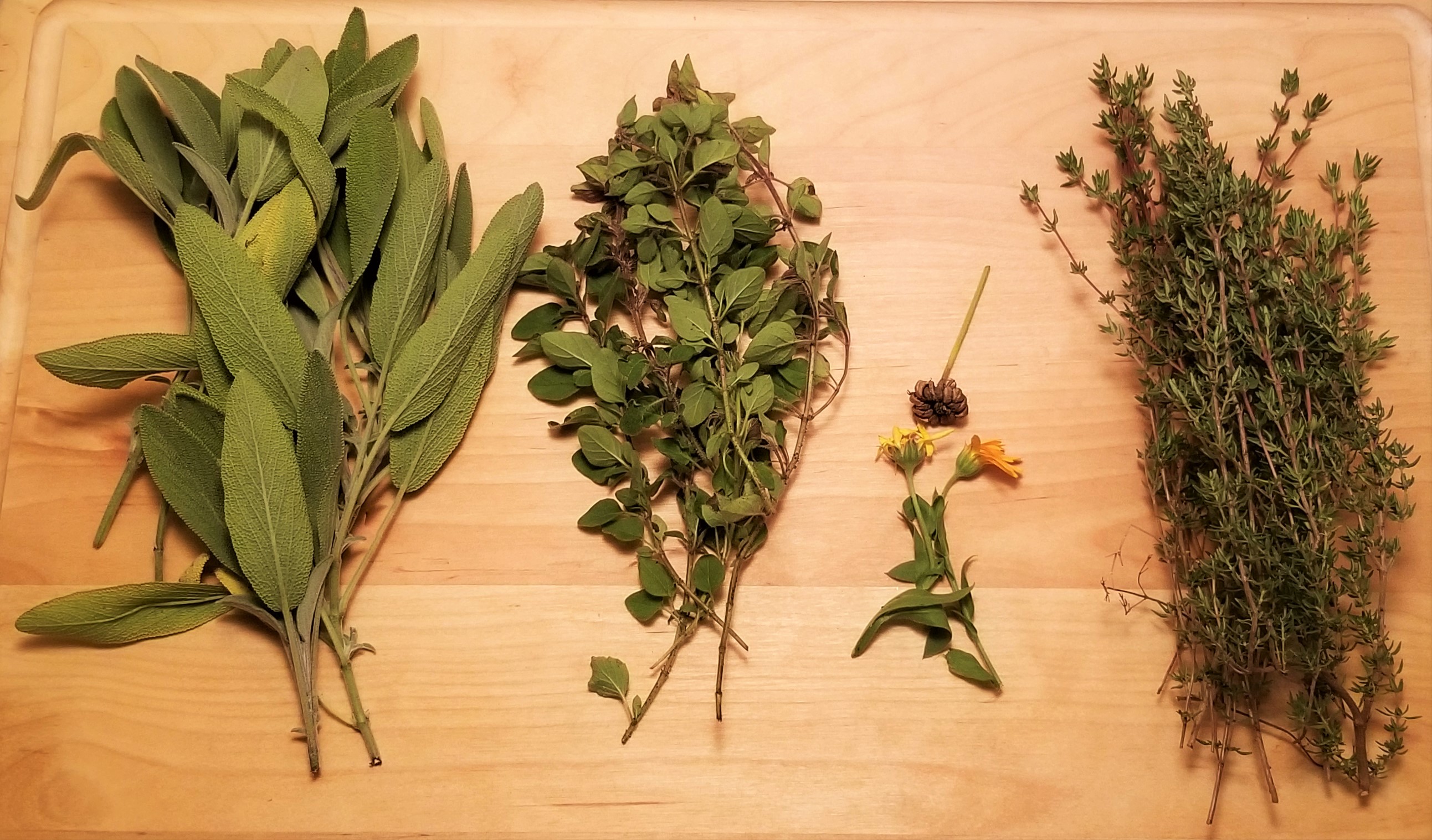 Wrapping up the Harvest – Preserving Herbs – My Slice of Mexico