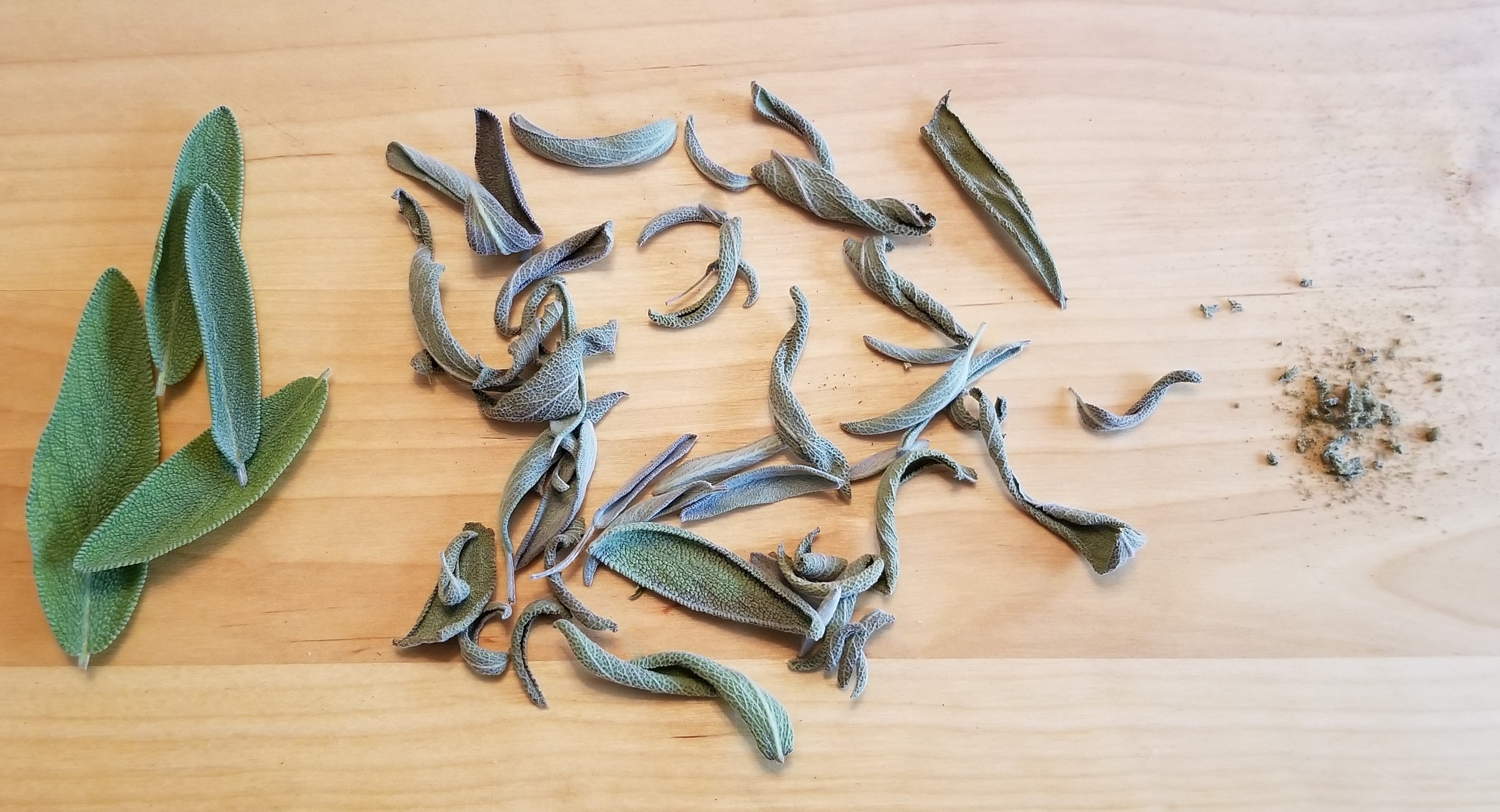 Wrapping up the Harvest – Preserving Herbs – My Slice of Mexico