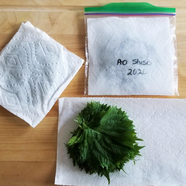 Wrapping up the Harvest – Preserving Herbs – My Slice of Mexico