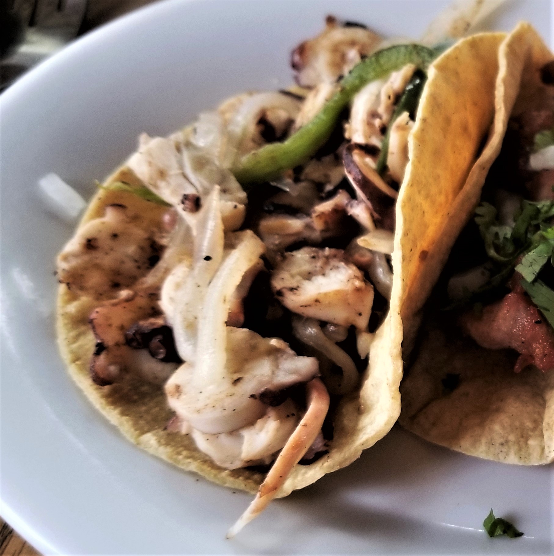 Octopus Taco – Something Fishy about this “Tako” – My Slice of Mexico