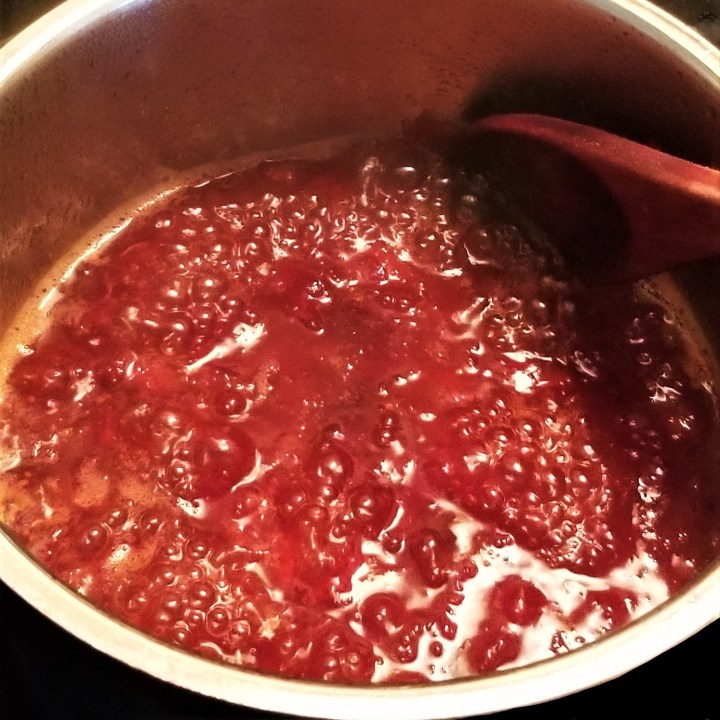 Chamoy – Two Homemade Recipes – My Slice of Mexico