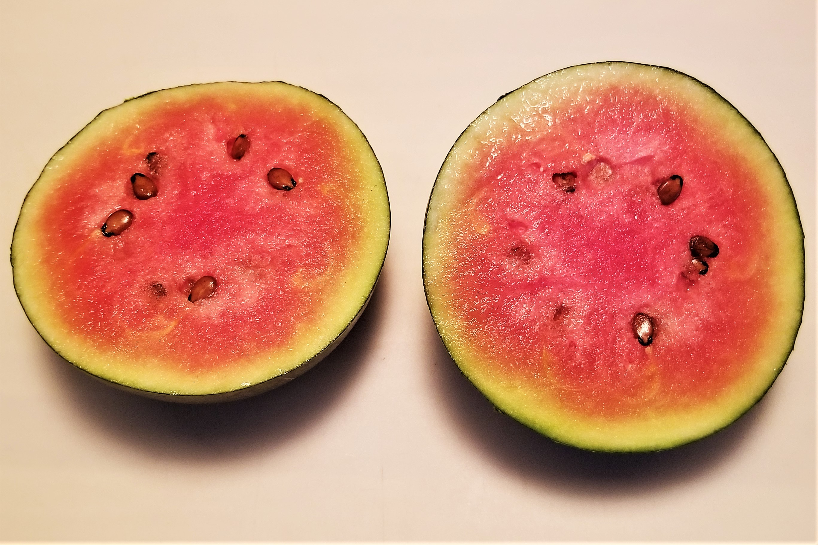 Harvest of the Day – Crazy Snacks – My Slice of Mexico