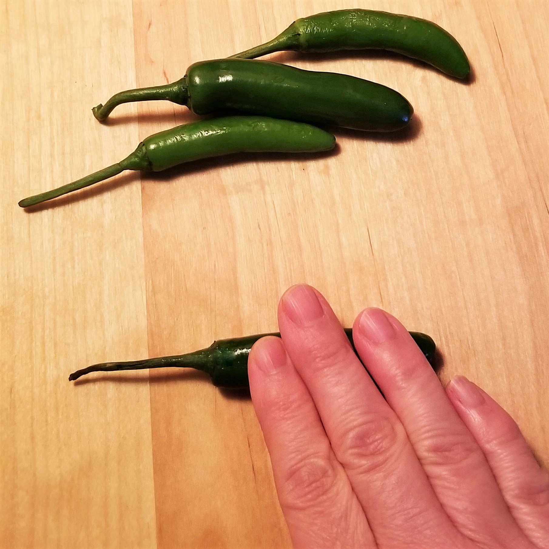 Fried “Chiles Toreados” with Onions – My Slice of Mexico
