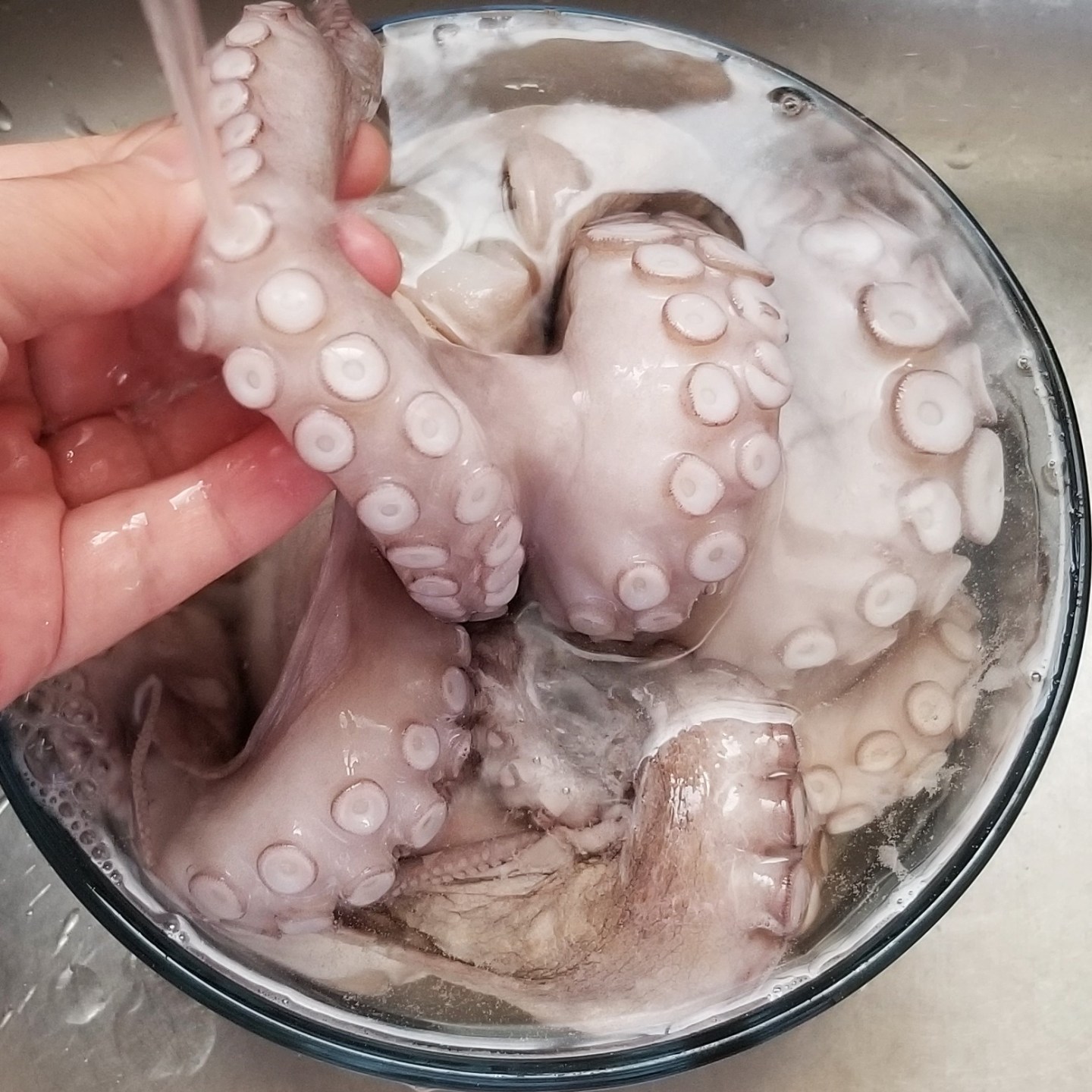 Octopus on the Griddle – Pulpo a la Plancha – My Slice of Mexico