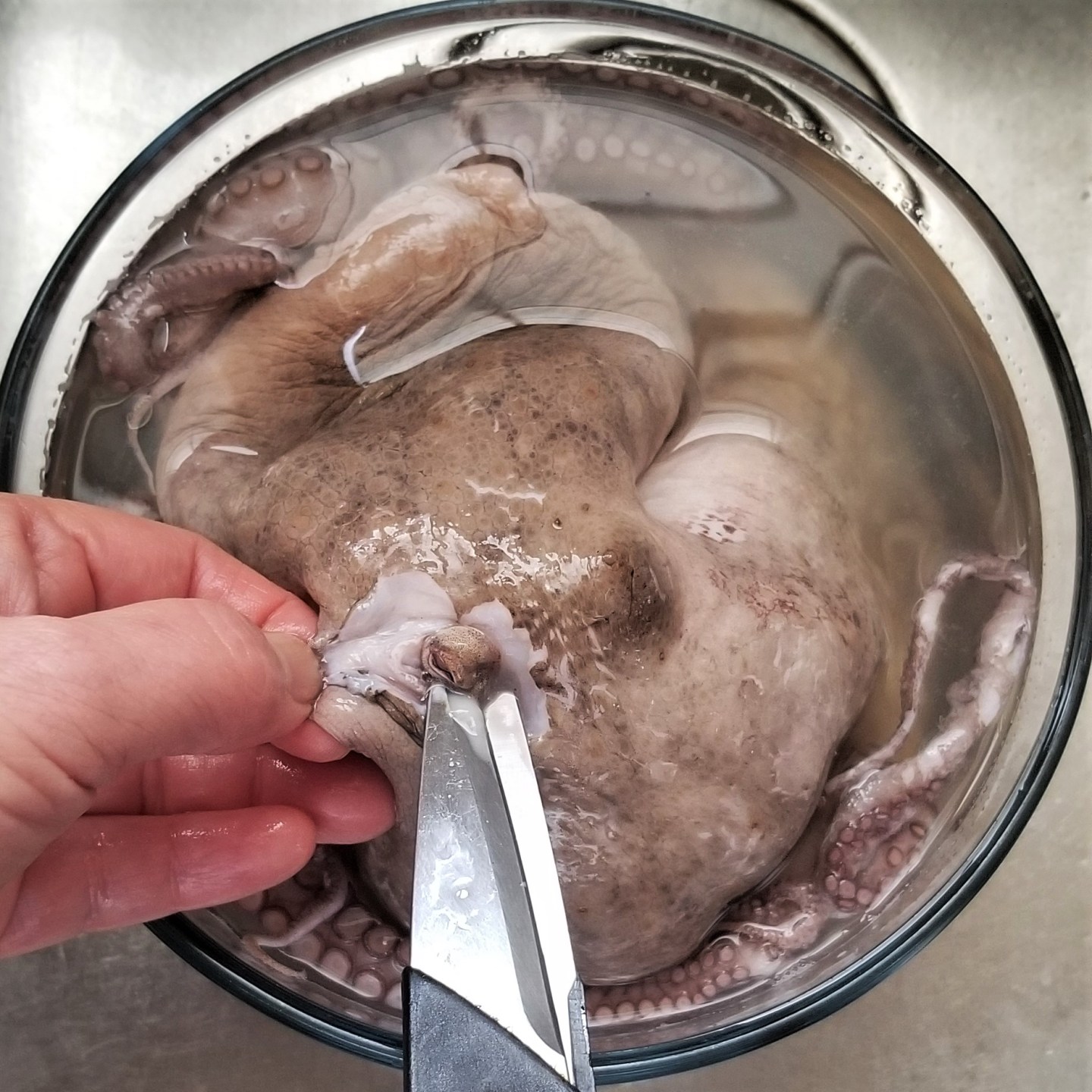 Octopus on the Griddle – Pulpo a la Plancha – My Slice of Mexico