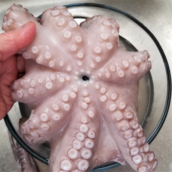 Octopus on the Griddle – Pulpo a la Plancha – My Slice of Mexico