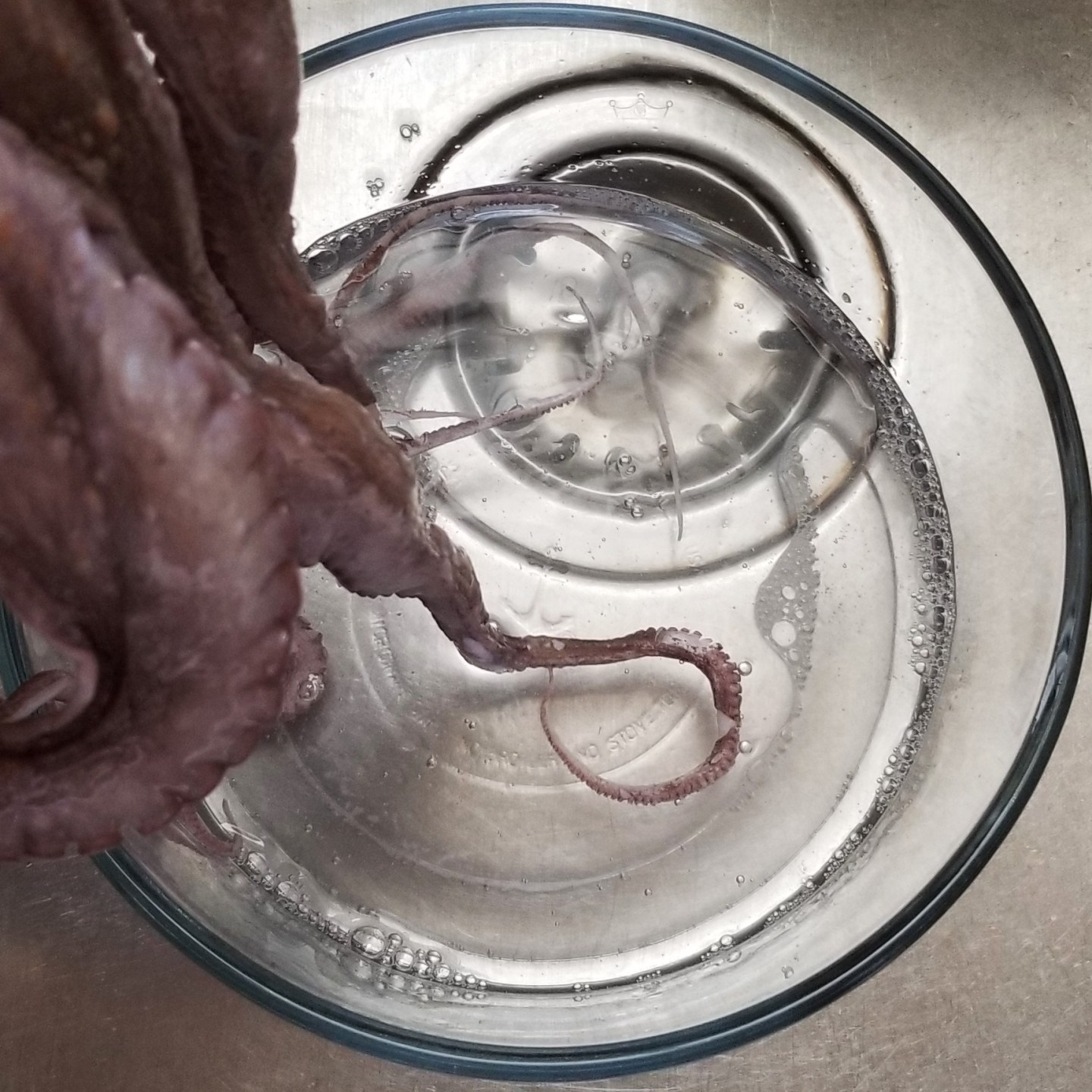 Octopus on the Griddle – Pulpo a la Plancha – My Slice of Mexico