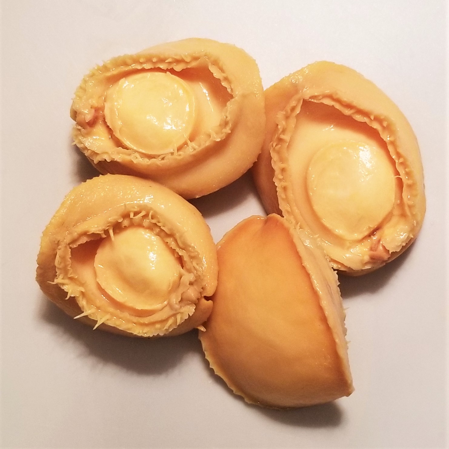 Beach Cocktail (with Abalone) – Coctel playero (con abulón) – My Slice ...