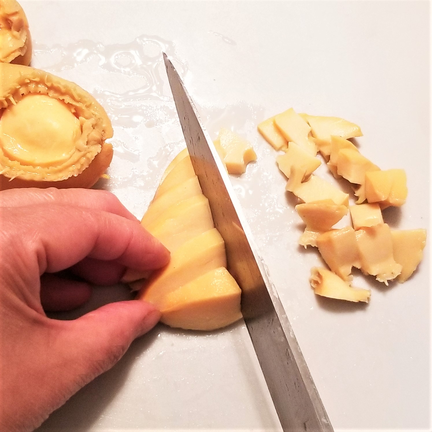 Beach Cocktail (with Abalone) – Coctel playero (con abulón) – My Slice ...