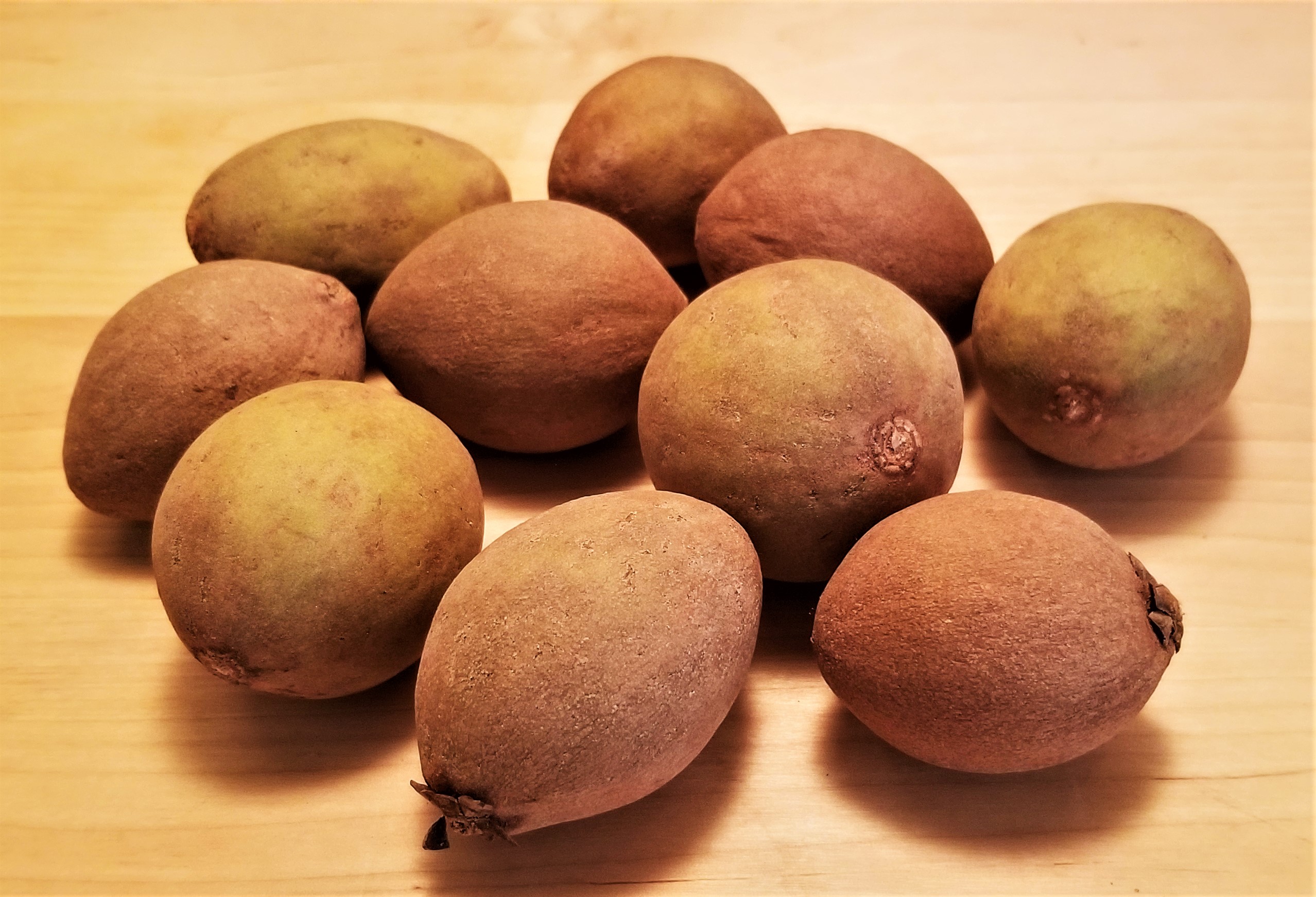 Chico Zapote – Sapodilla Fruit (and a No-Churn Recipe for Sorbet) – My ...