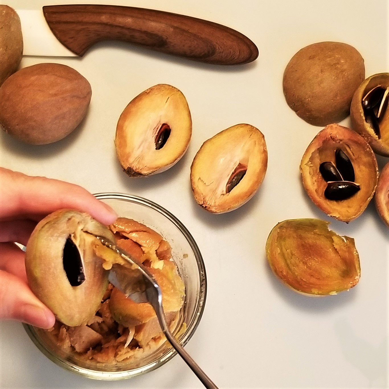 Chico Zapote – Sapodilla Fruit (and a No-Churn Recipe for Sorbet) – My ...