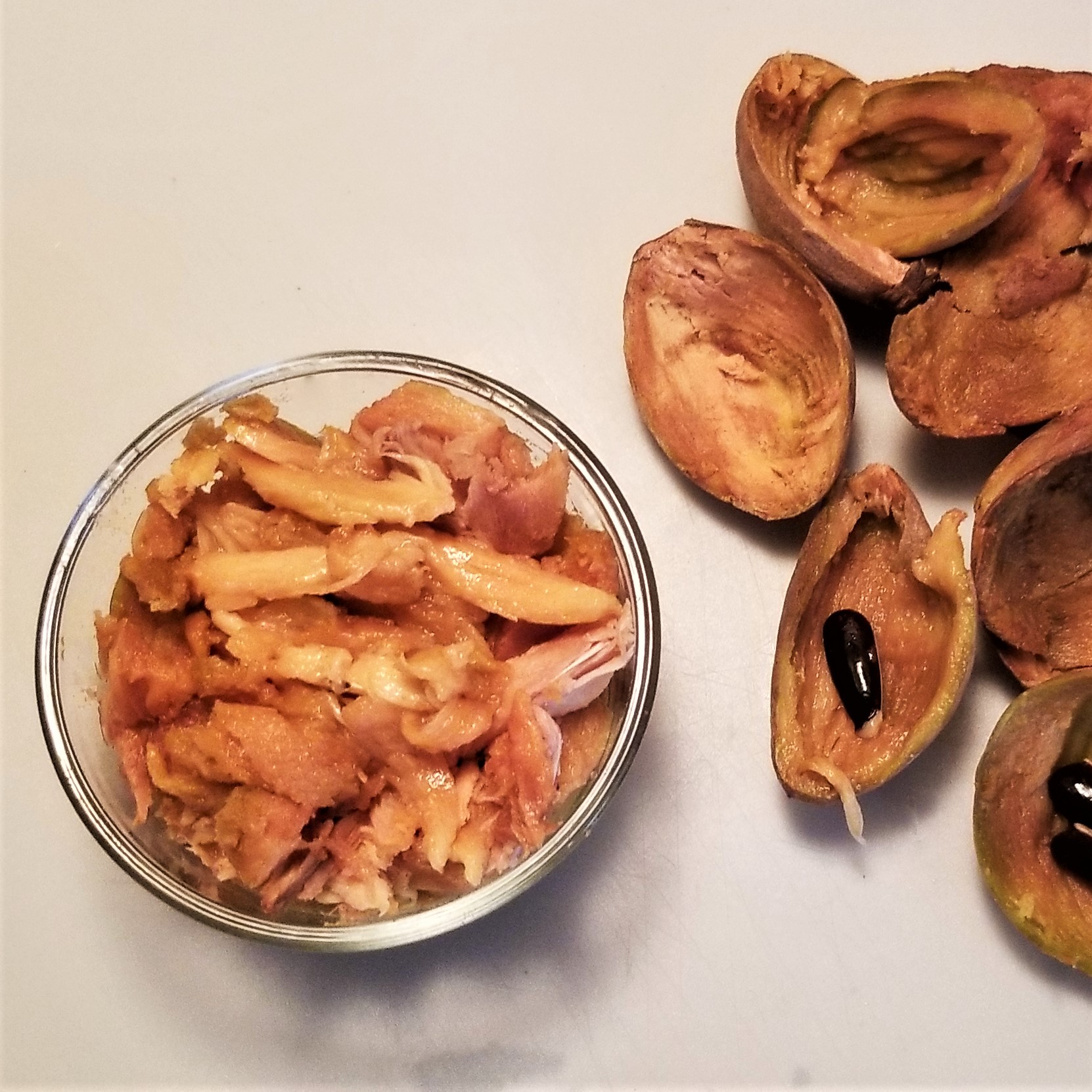 Chico Zapote – Sapodilla Fruit (and a No-Churn Recipe for Sorbet) – My ...