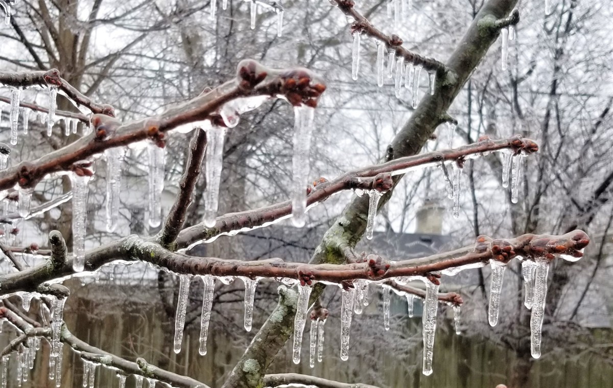 Freezing Rain – My Slice of Mexico