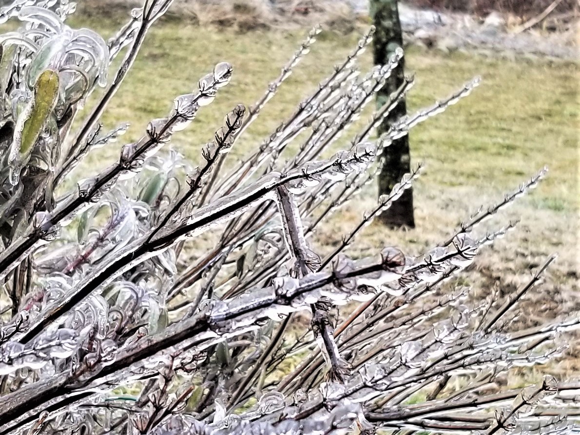 Freezing Rain – My Slice of Mexico