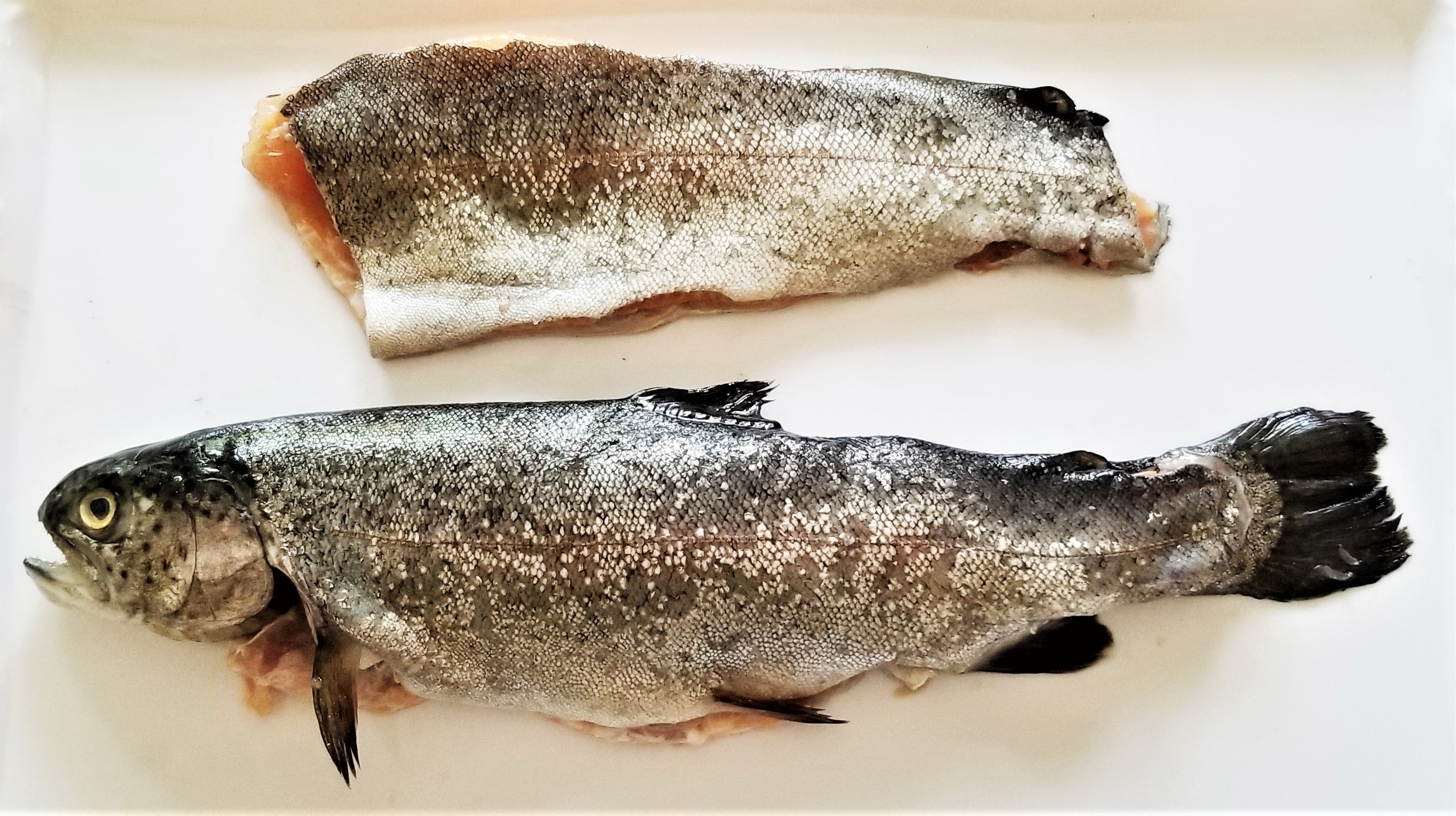 Malinalco Style Stuffed Trout – My Slice of Mexico