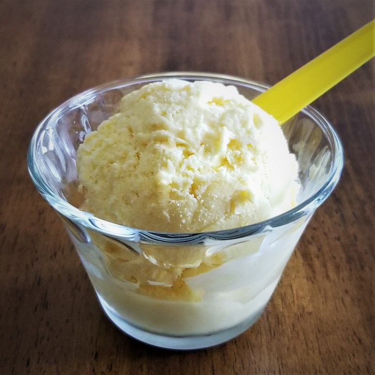 Mango Ice Cream – My Slice of Mexico