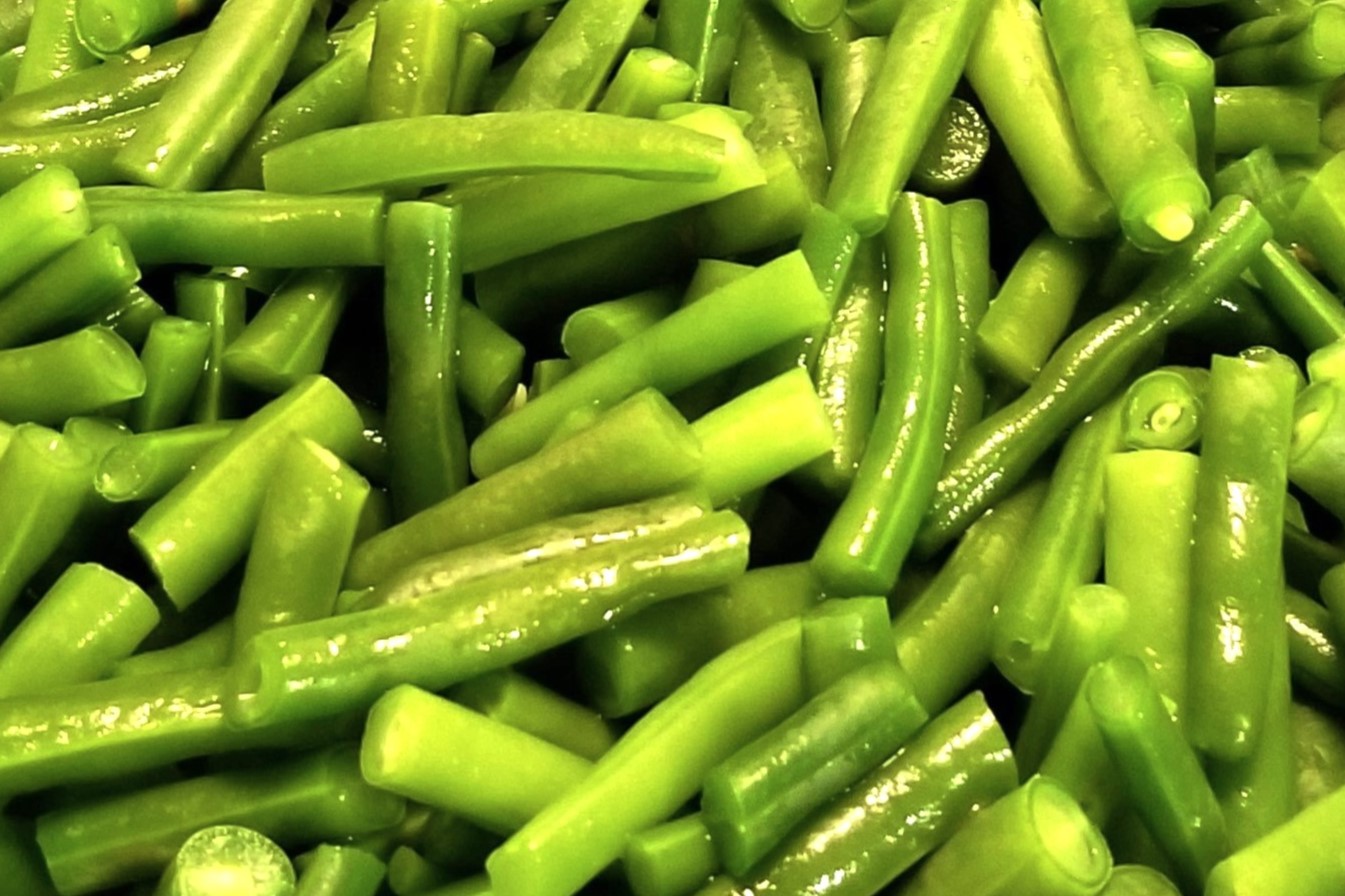 How to Process Snap Beans for Freezing – My Slice of Mexico