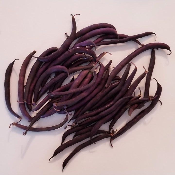 How to Process Snap Beans for Freezing – My Slice of Mexico