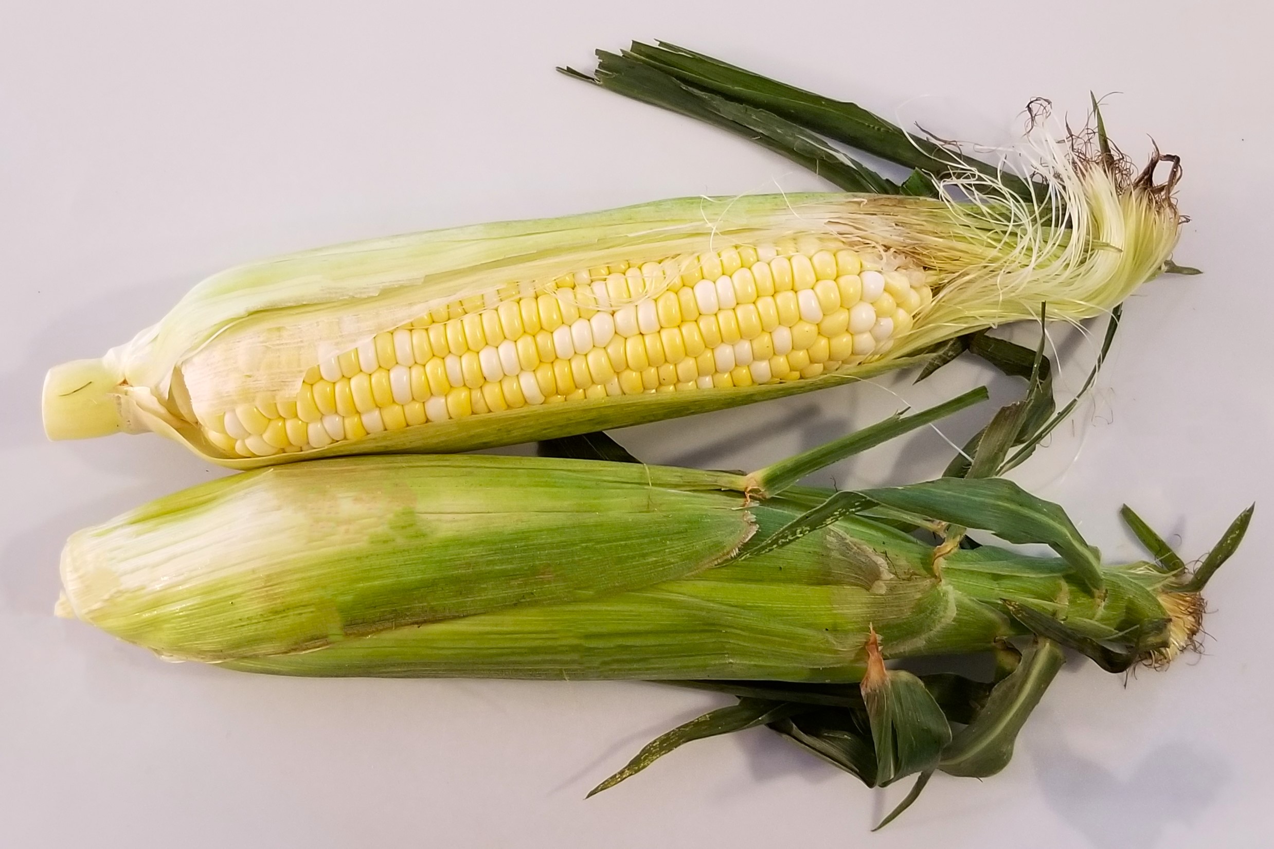 Soups – Cream of Poblano with Corn – My Slice of Mexico