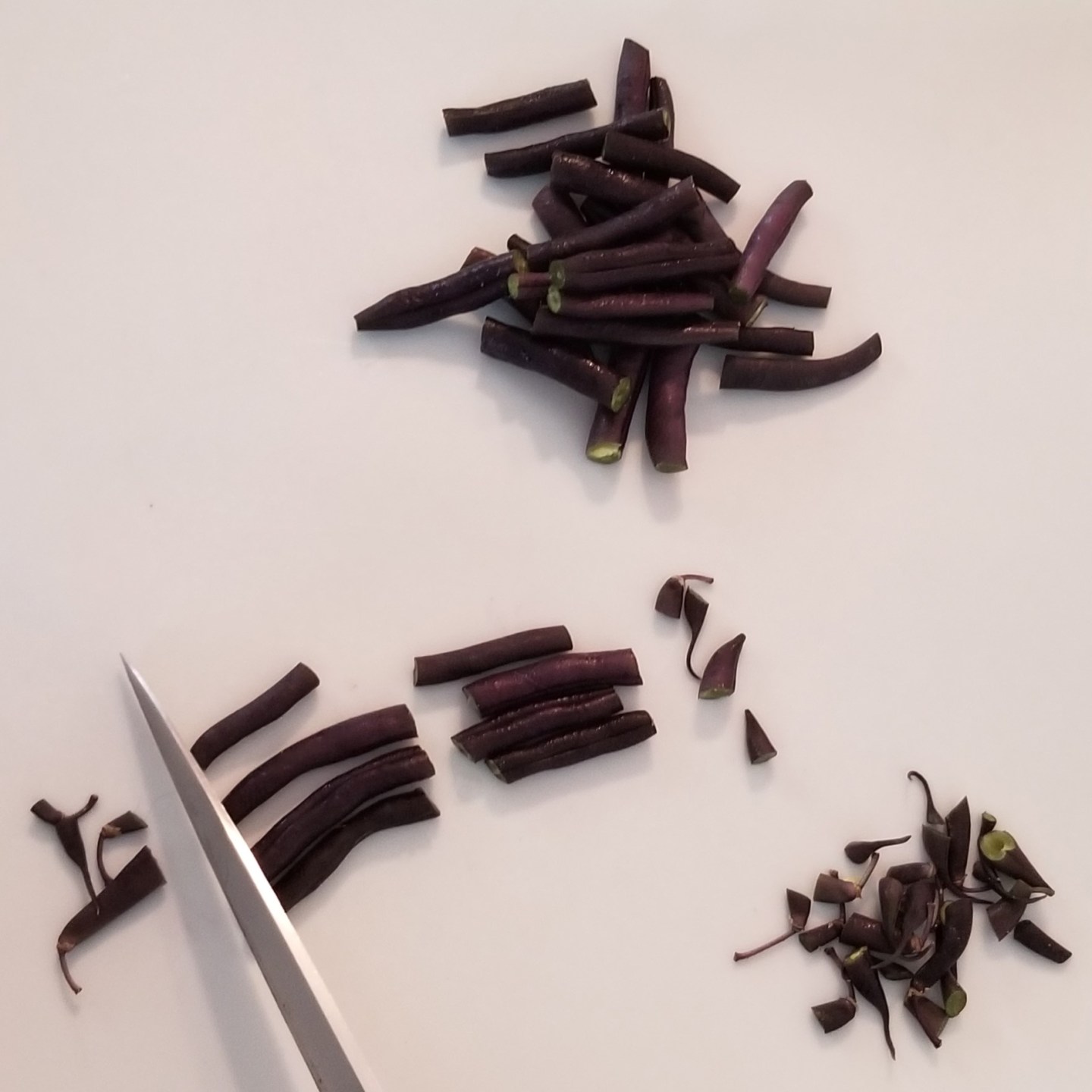 How to Process Snap Beans for Freezing – My Slice of Mexico