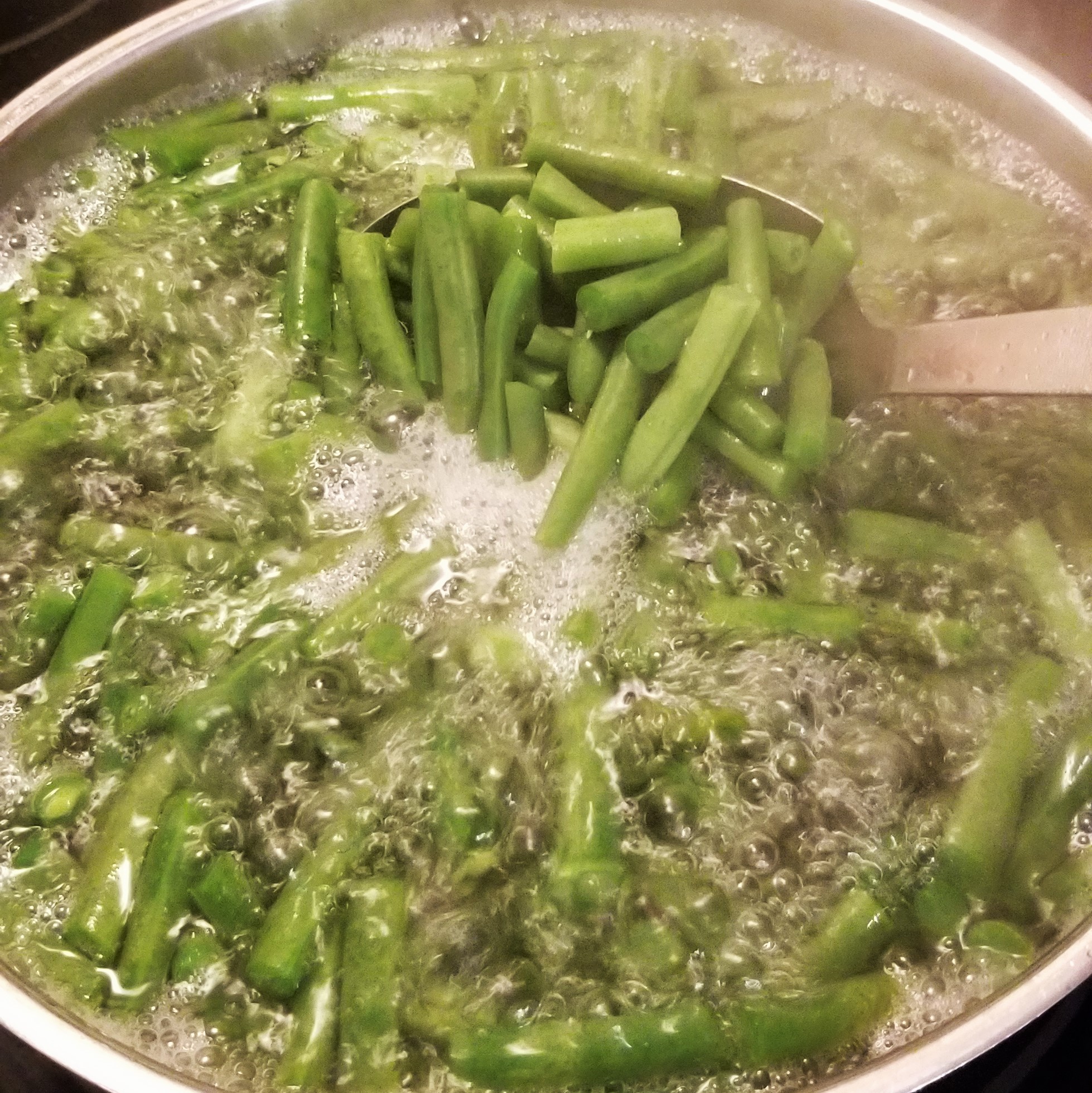 How to Process Snap Beans for Freezing – My Slice of Mexico